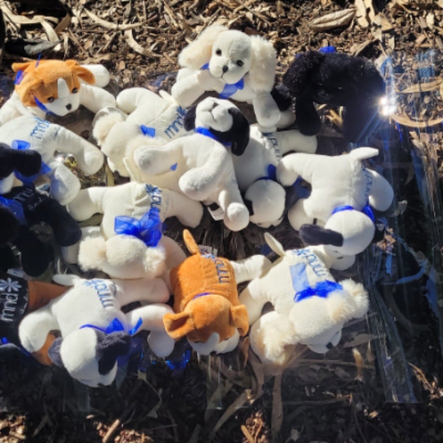 Soft plush puppy | Ipswich Eagles AFC